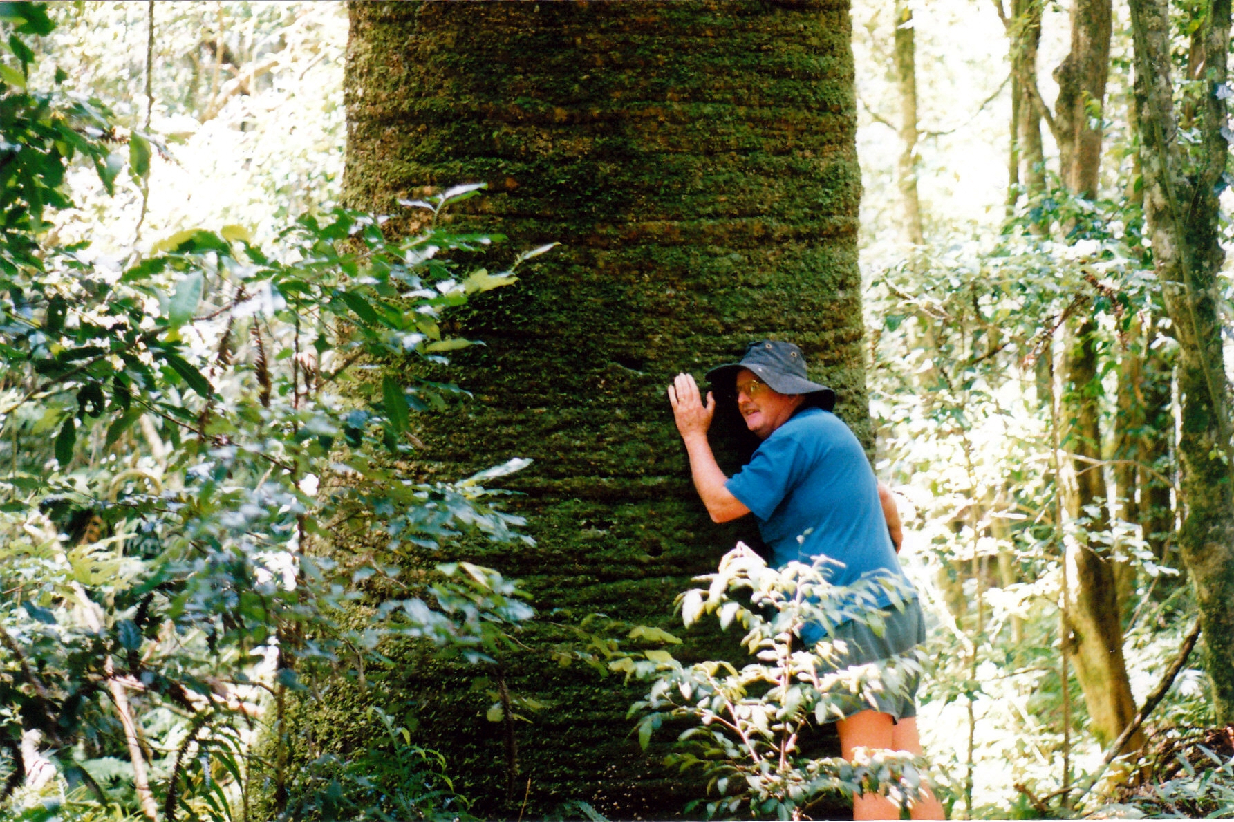Bunya Mountains National Park | This Adventurous Age