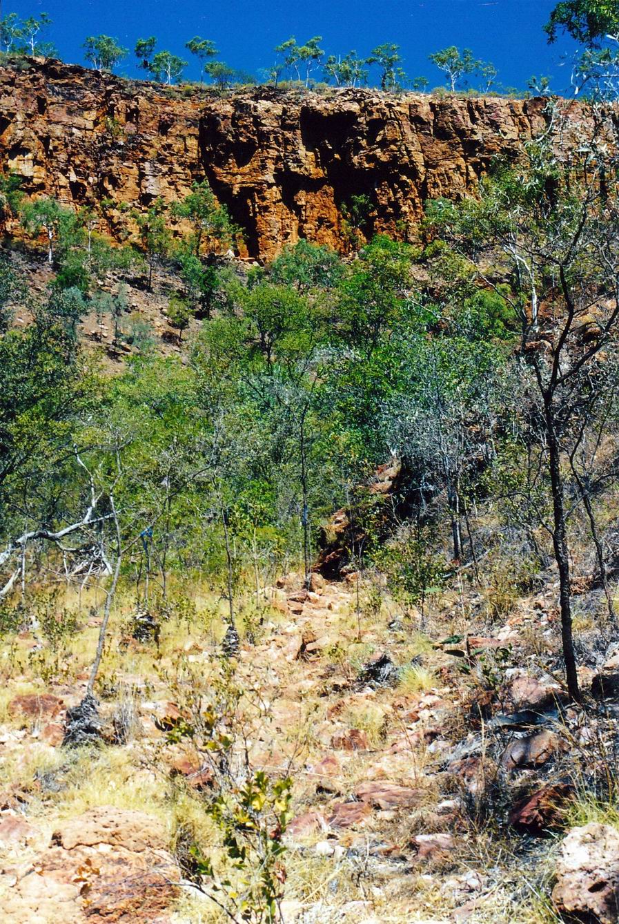 Hedleys Gorge | This Adventurous Age