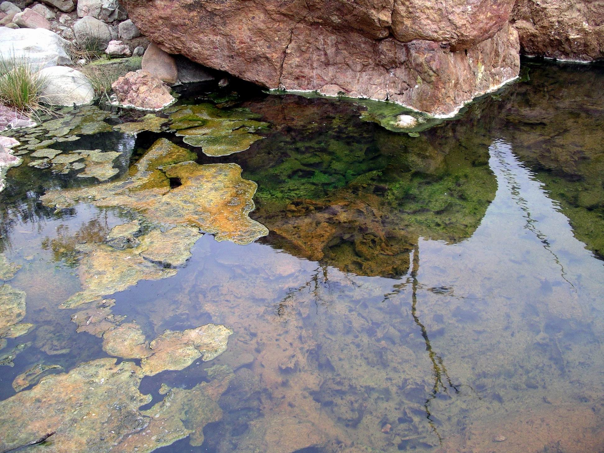 Paralana Hot springs | This Adventurous Age